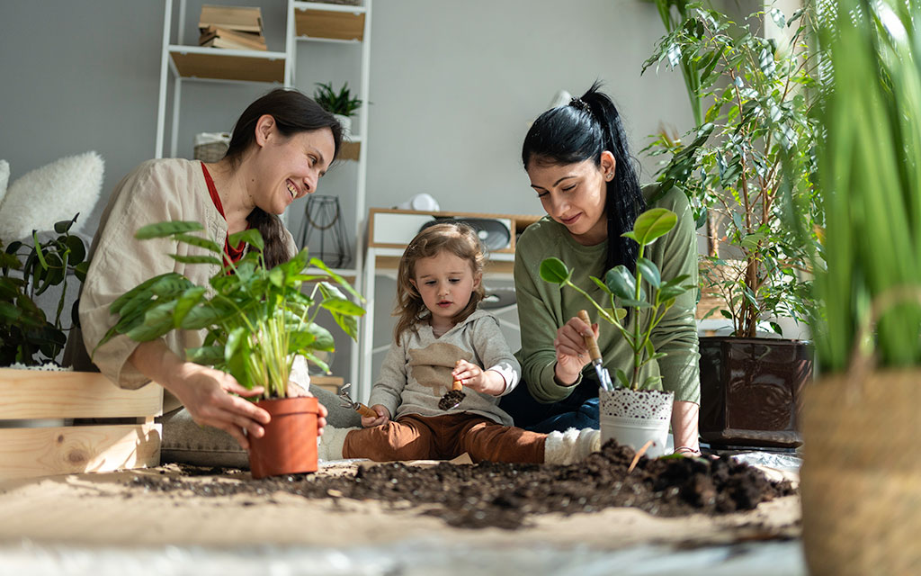 Greater Nevada Credit Union